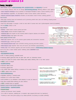 Functional Gait Assessment (FGA) Overview and Scoring Guide ...