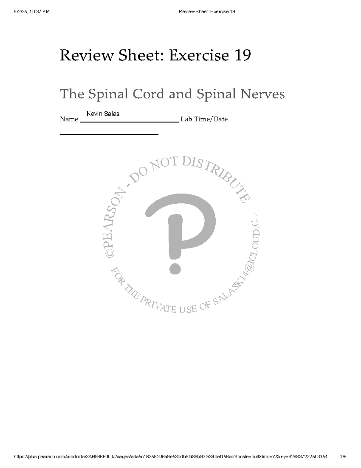 Review Sheet: Exercise 19 - Anatomy of the Spinal Cord and Nerves - Studocu