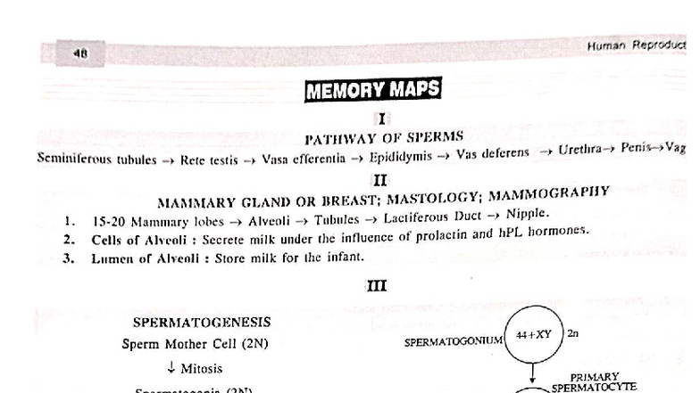Human Reproduction 48: Memory Maps & Pathways of Spermatogenesis - Studocu