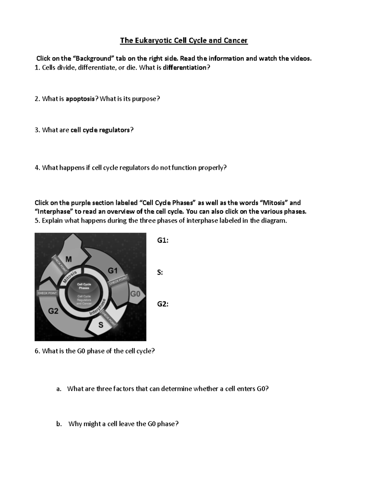 Cell Cycle and Cancer clicknlearn worksheet - The Eukaryotic Cell Cycle ...