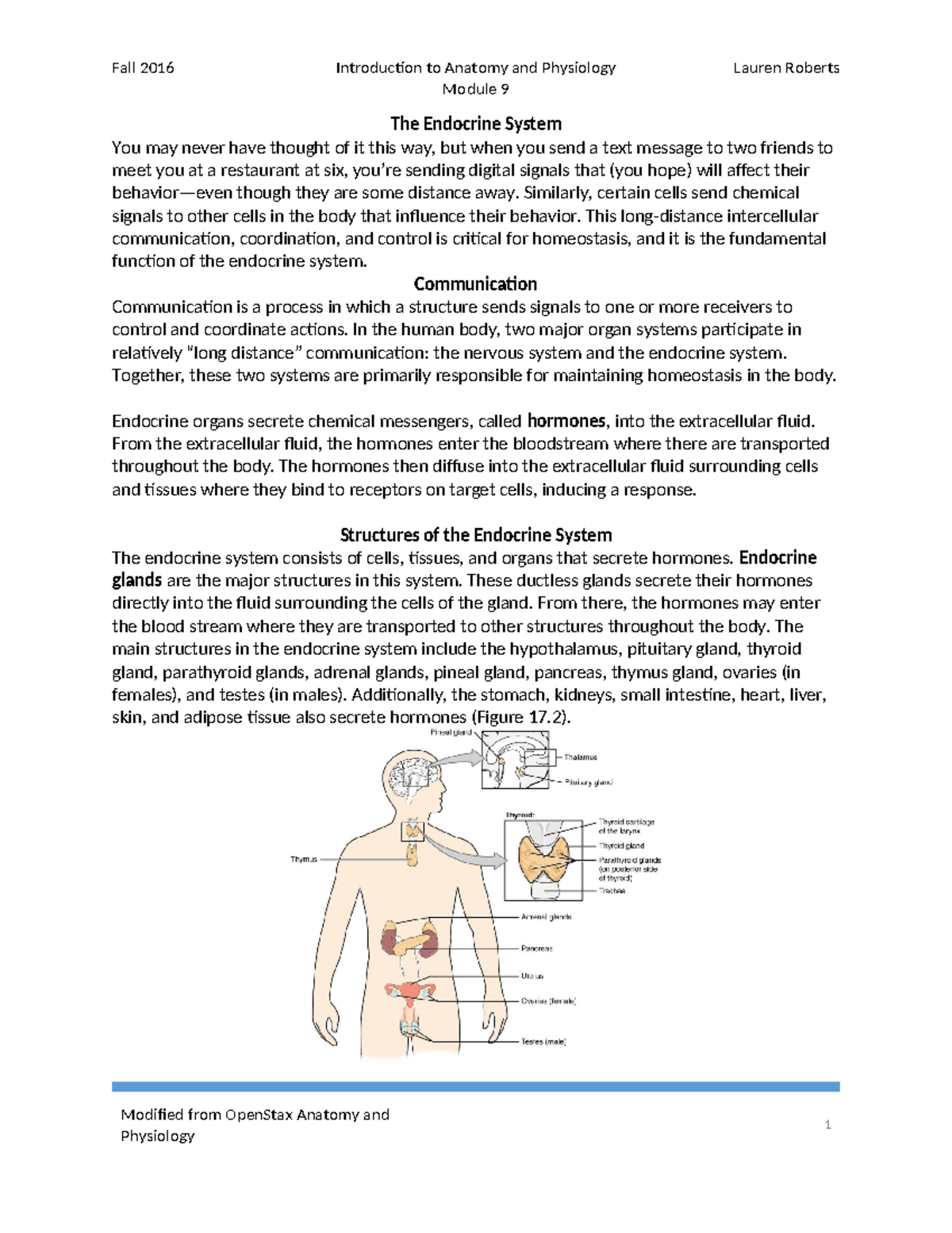 Fall 2016 Anatomy & Physiology Module 9: Overview of the Endocrine ...