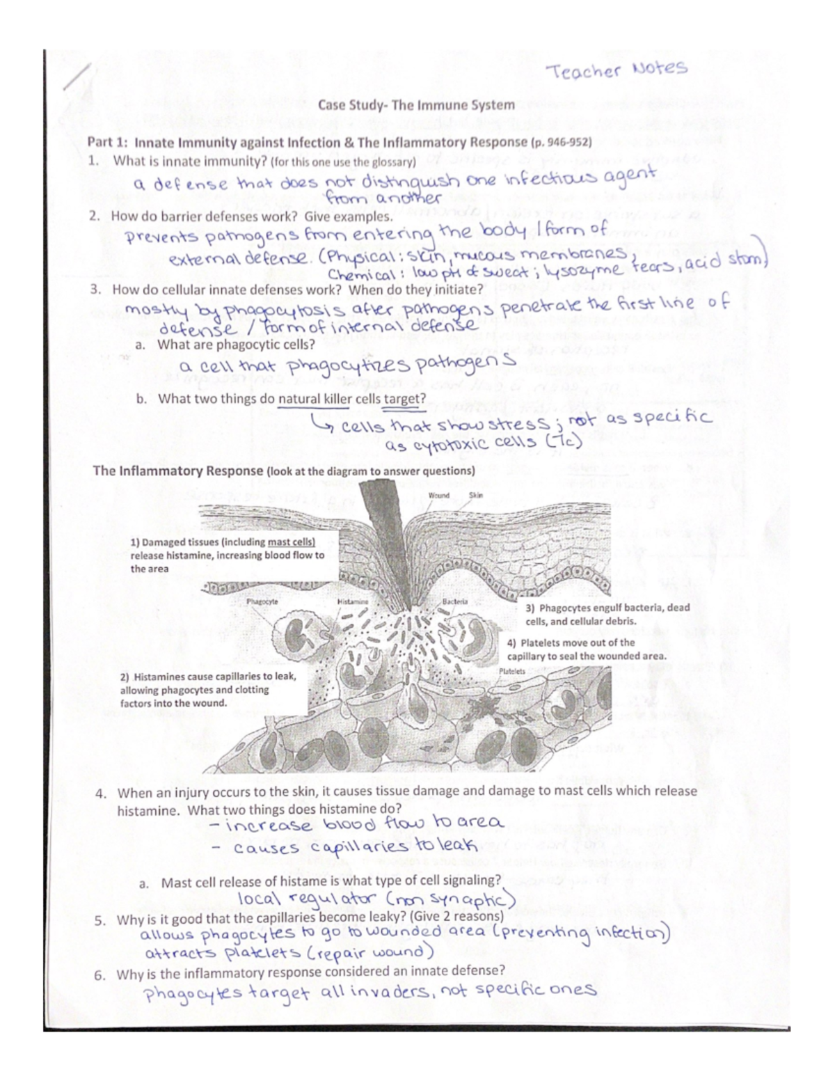 Case Study: Immune System Overview (BIO101 Final Exam Notes) - Studocu