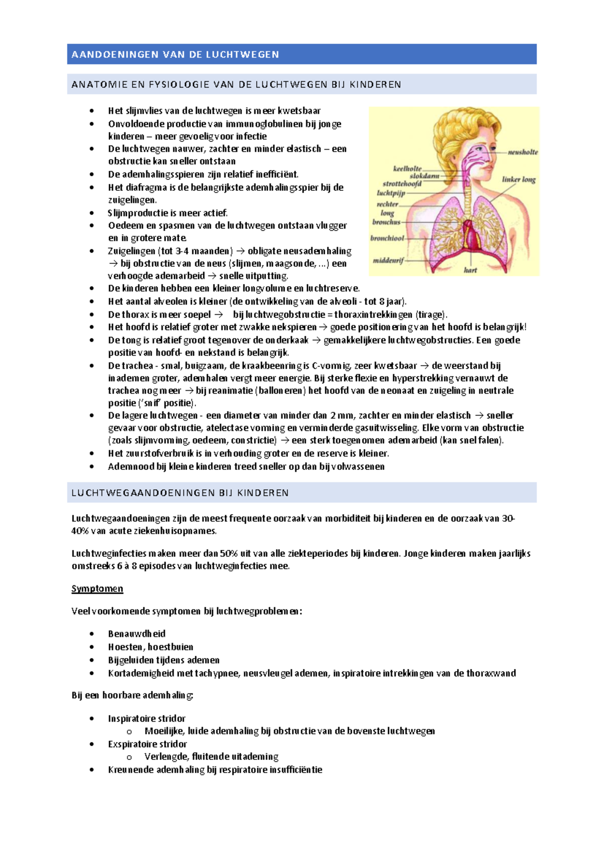 Aandoeningen van de Luchtwegen bij Kinderen: Anatomie en Behandeling ...