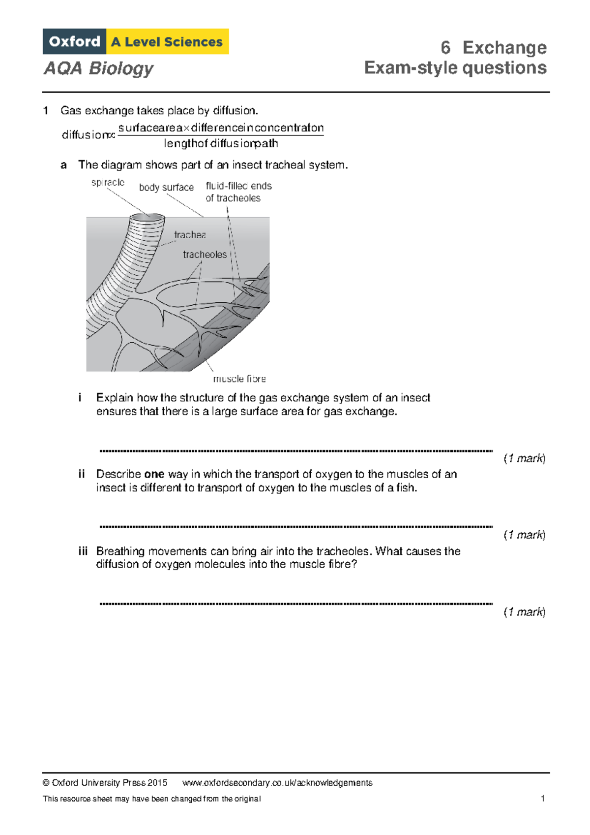 AQA Biology Exam Questions: Gas Exchange, Stomata, and Digestion - Studocu