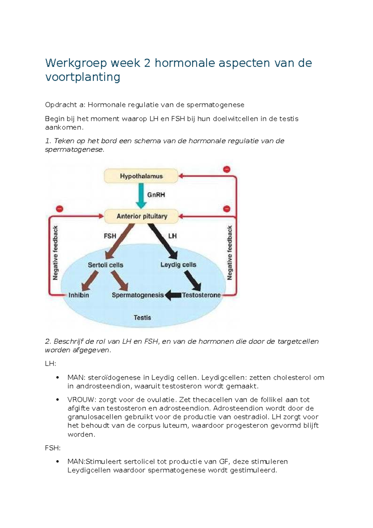 Werkgroep 2: Hormonale Regulatie van Spermatogenese en Ovulatie ...