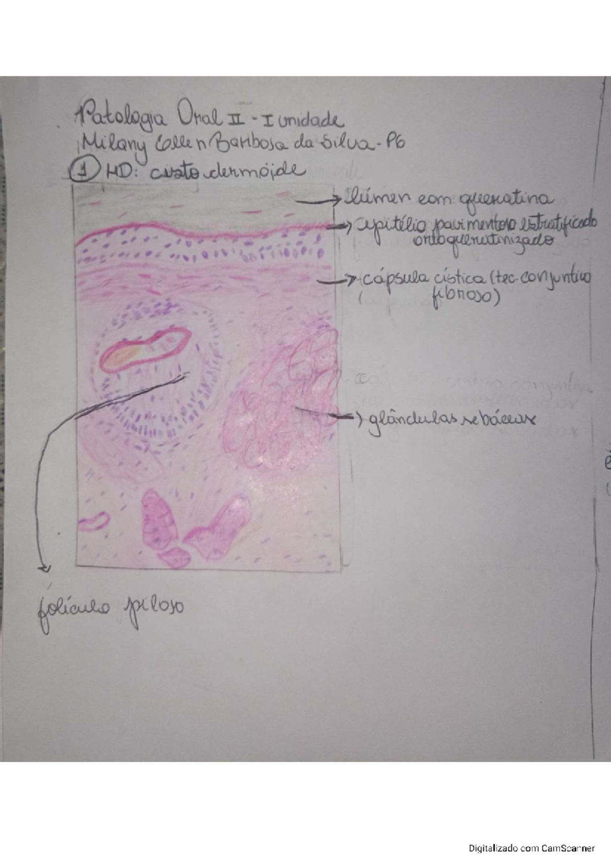 Patologia Oral II - Unidade I: Cistos e Estruturas Epiteliais - Studocu