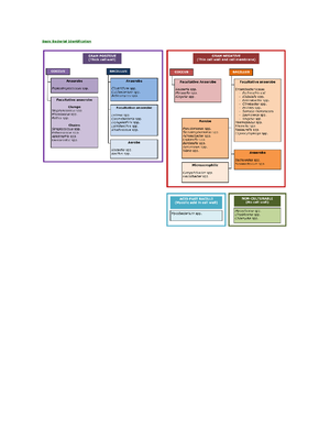 Bacteriology Flow Chart Identification of Bacteria - GRAM STAIN Gram ...