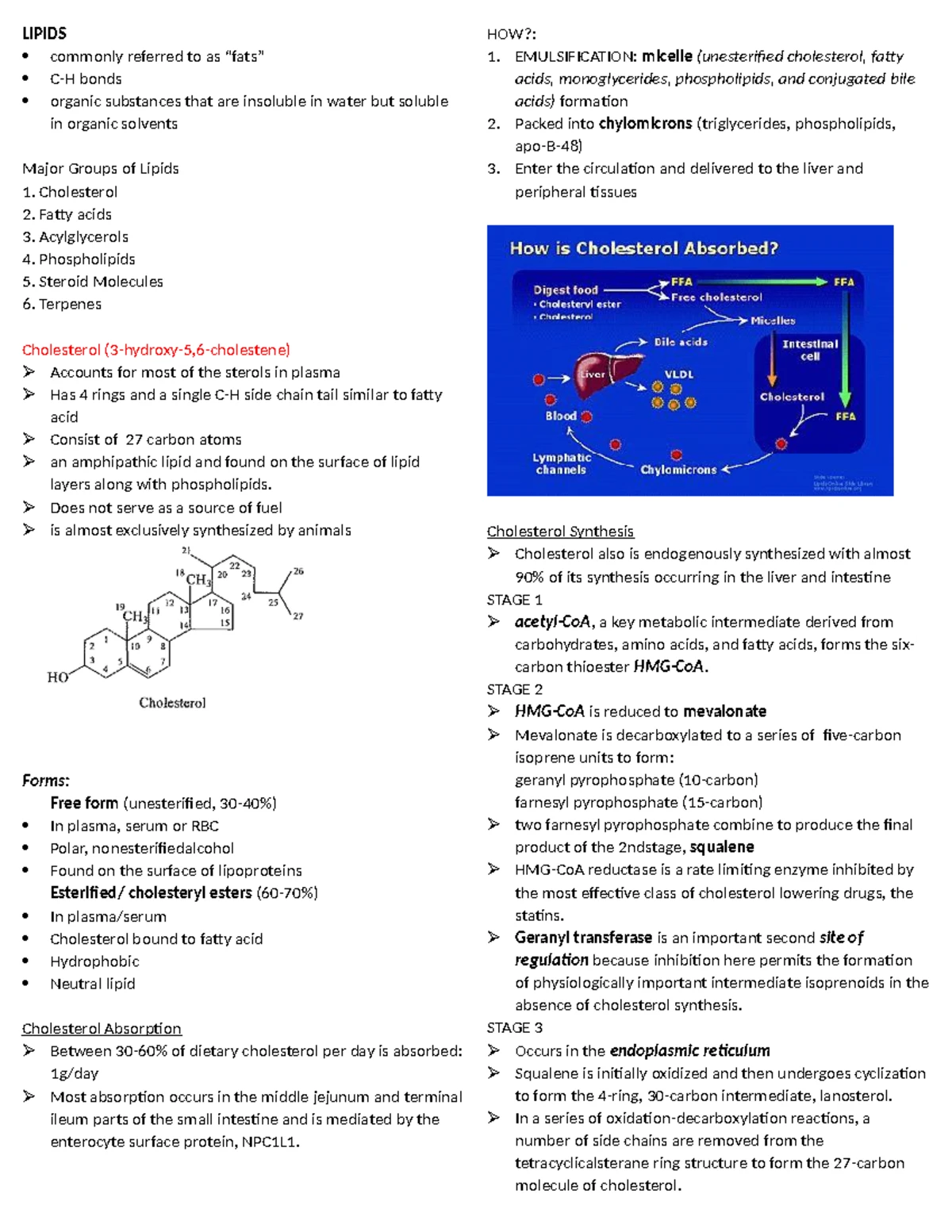 Molecular Biology (BIO101) Introductory Notes and Lab Techniques - Studocu