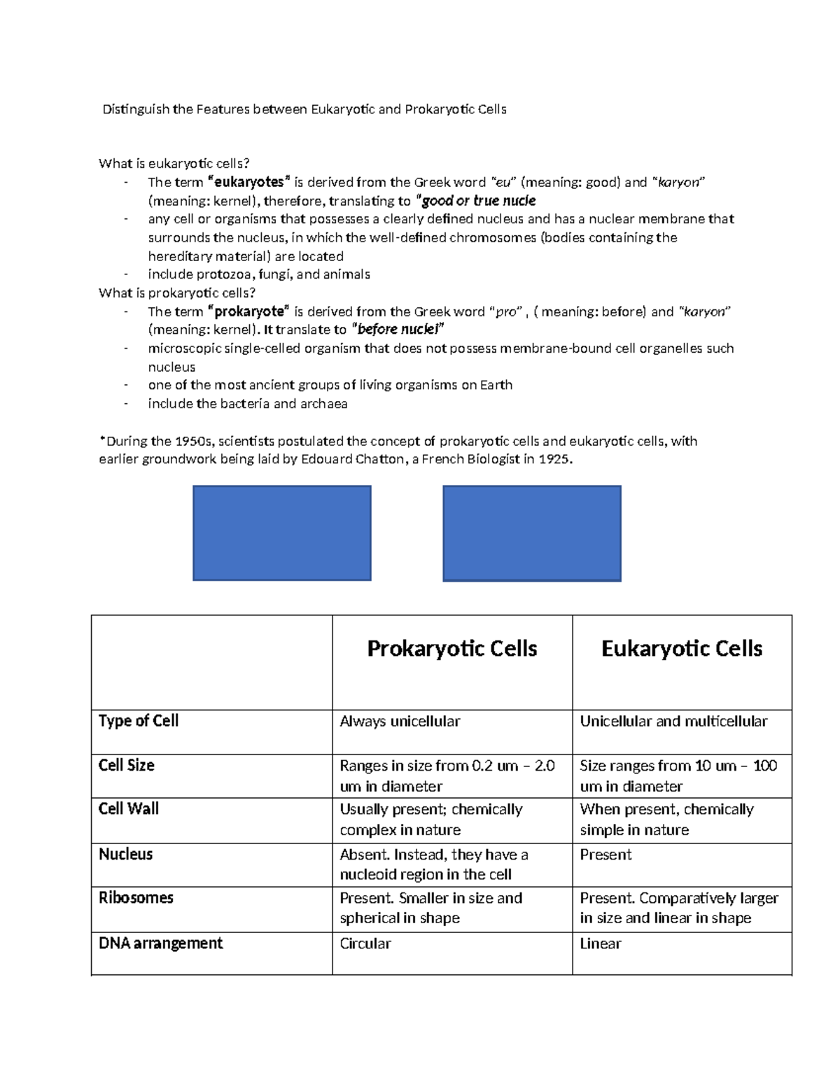 Molecular Biology: Eukaryotic vs Prokaryotic Cells Explained - Studocu