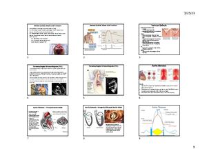 [Solved] Describe in detail the pathophysiological stages of kidney ...