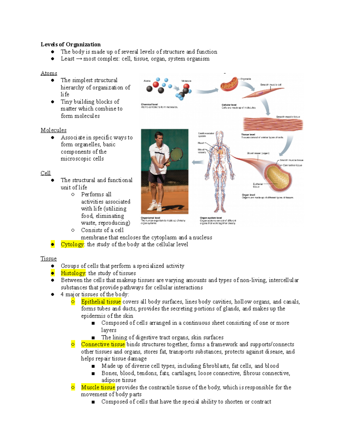 L1 Body Structures & Organ Systems: Levels of Organization Explained ...