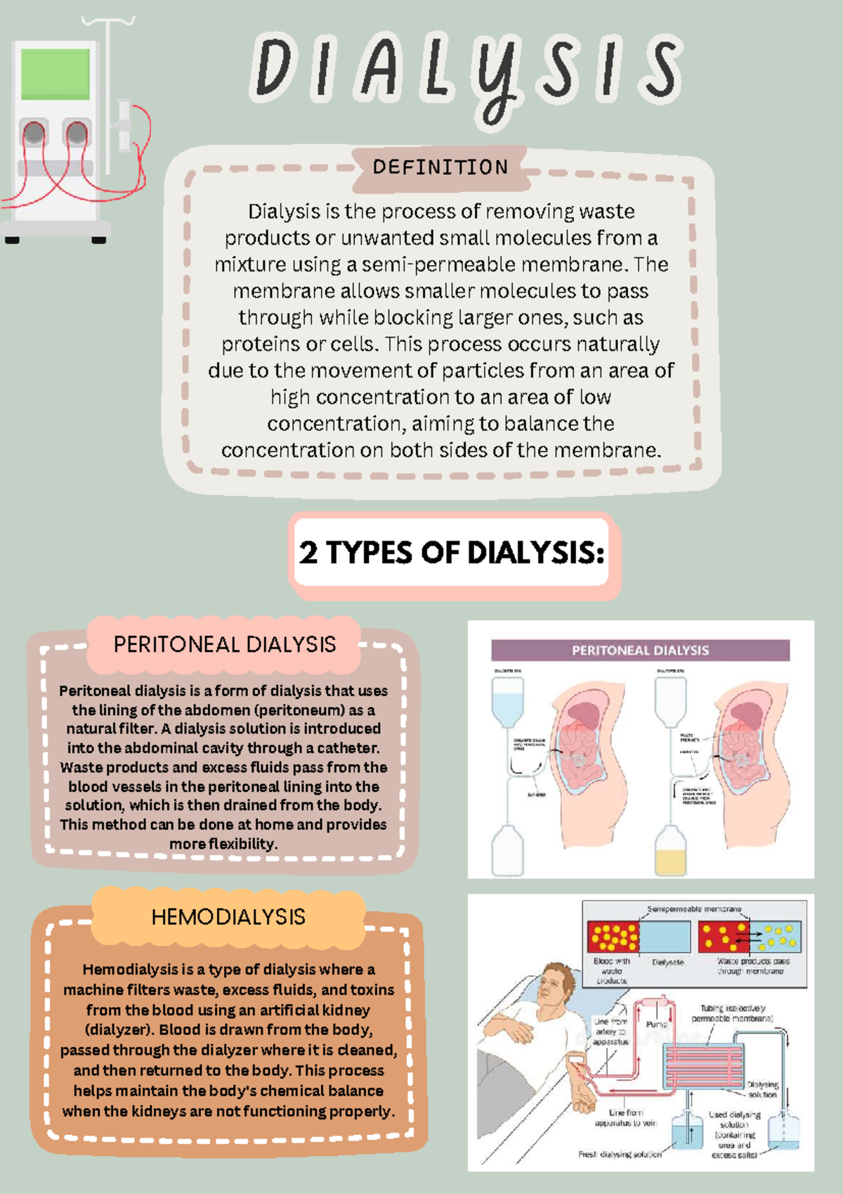 DIAL 101: Understanding Dialysis Types and Processes - Studocu