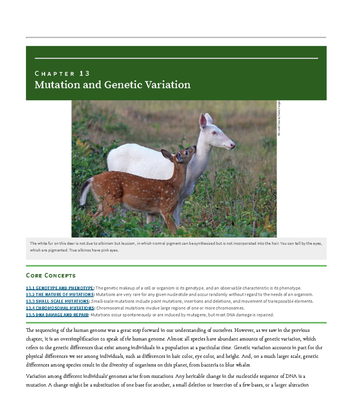 Mutation and Genetic Variation: Insights from Barbara McClintock's Work ...