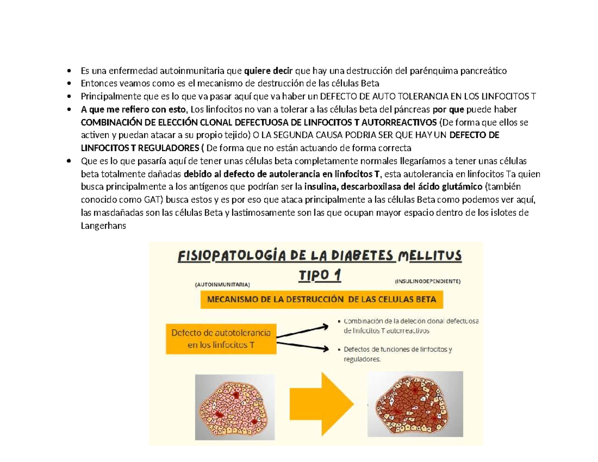 Mecanismos de Destrucción de Células Beta en DM1: Autoinmunidad - Studocu
