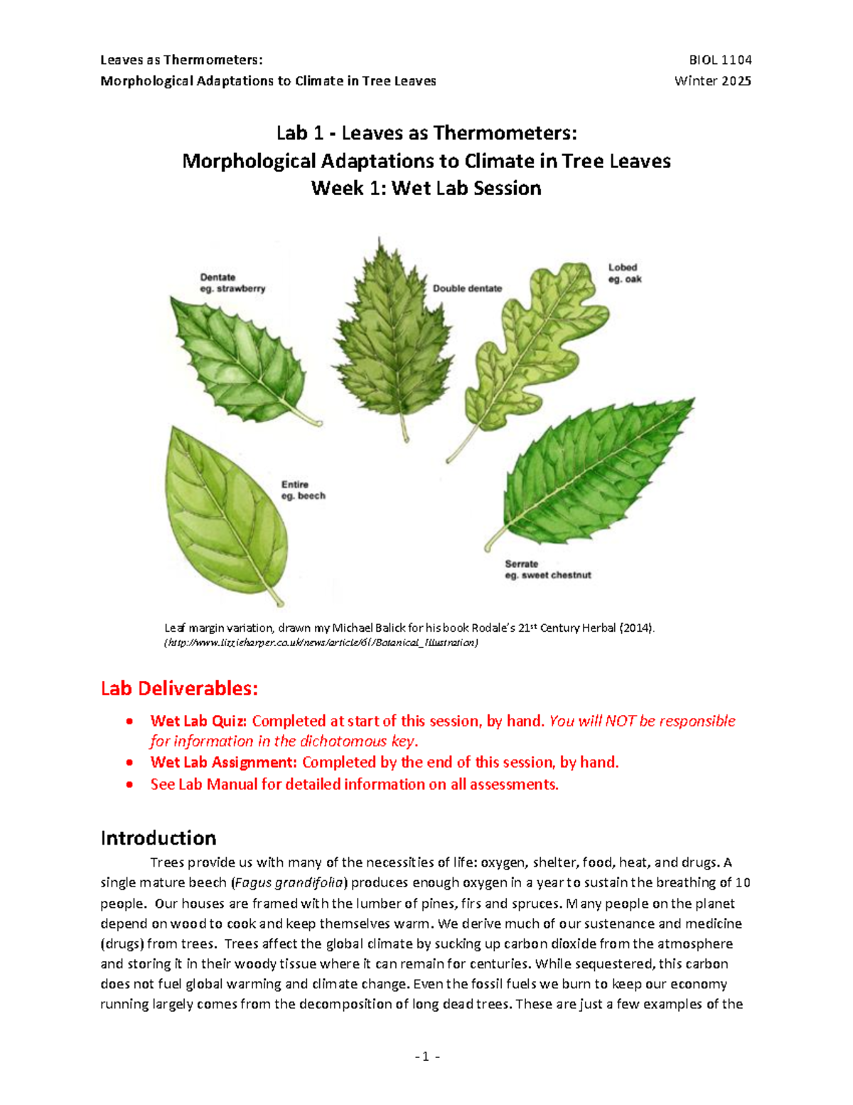 BIOL1104 - Lab 1: Leaf Morphology & Climate Adaptations (W25) - Studocu