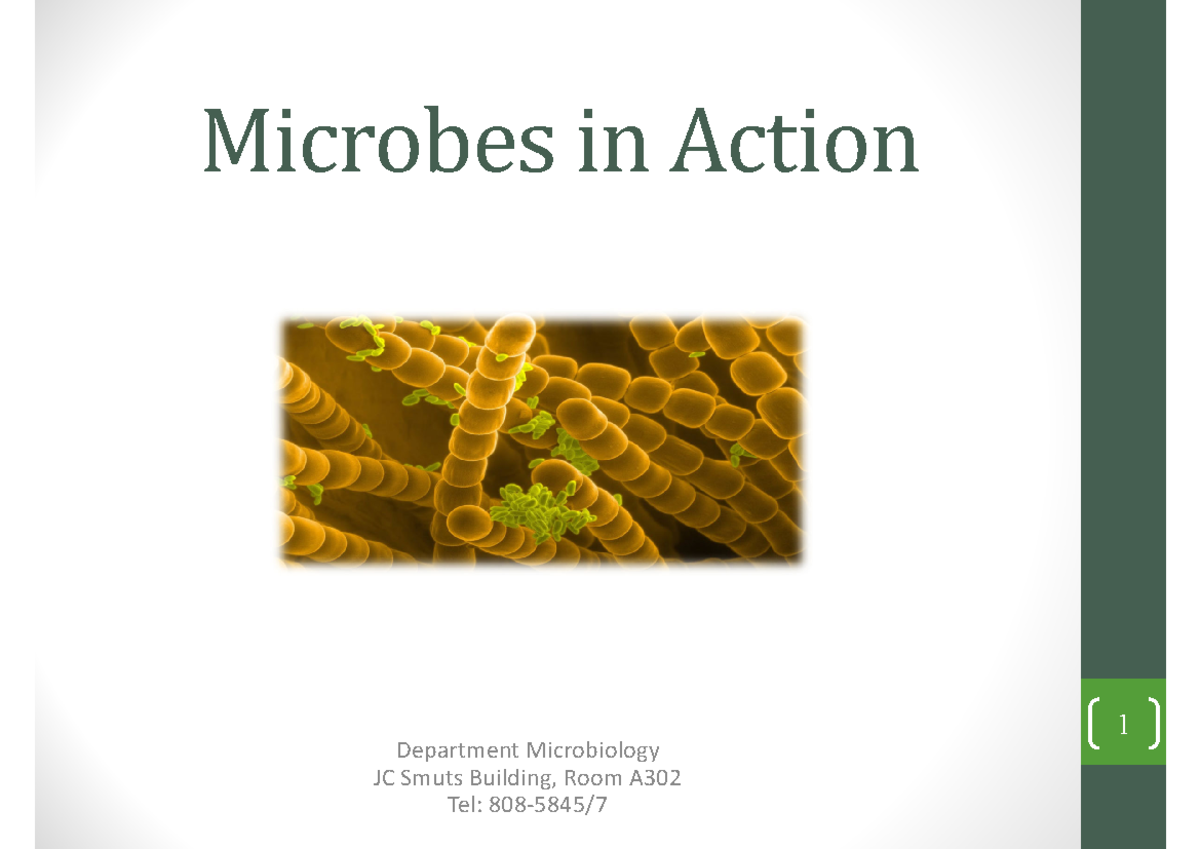 10E 2025 - Microbial Biotechnology and Its Applications - Studocu