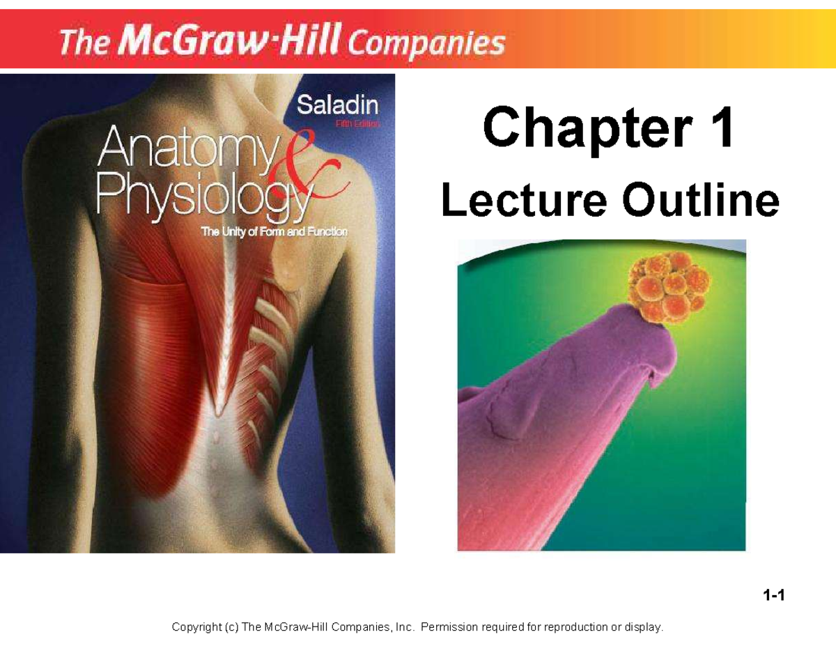 Human Origins and Adaptations - CH1 Lecture Notes - Studocu