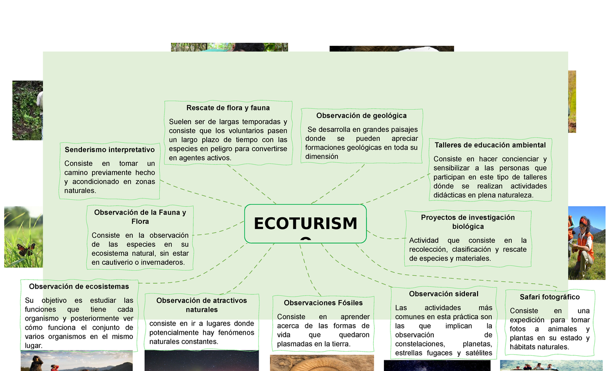 Mapa Mental sobre Ecoturismo y Actividades relacionadas - Studocu