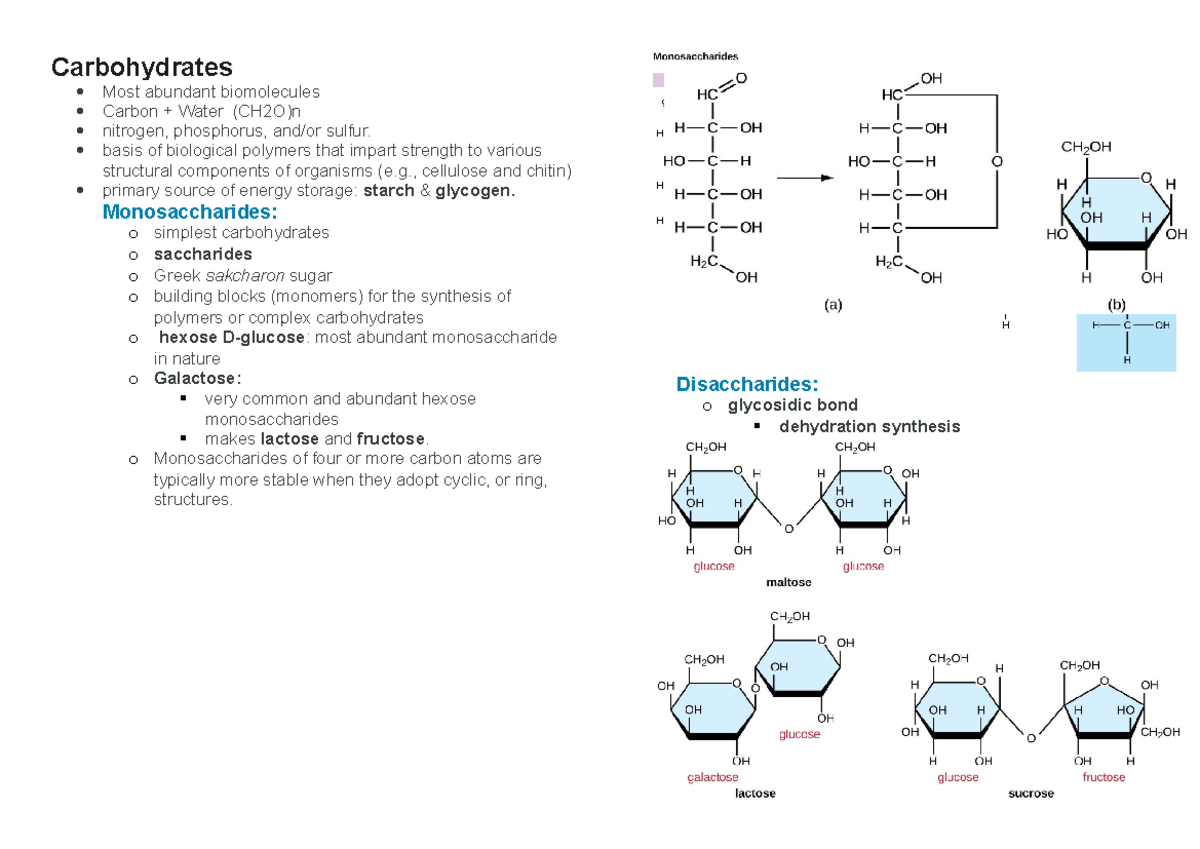 Biochem 101: Carbohydrates & Cell Structure Summary Notes - Studocu
