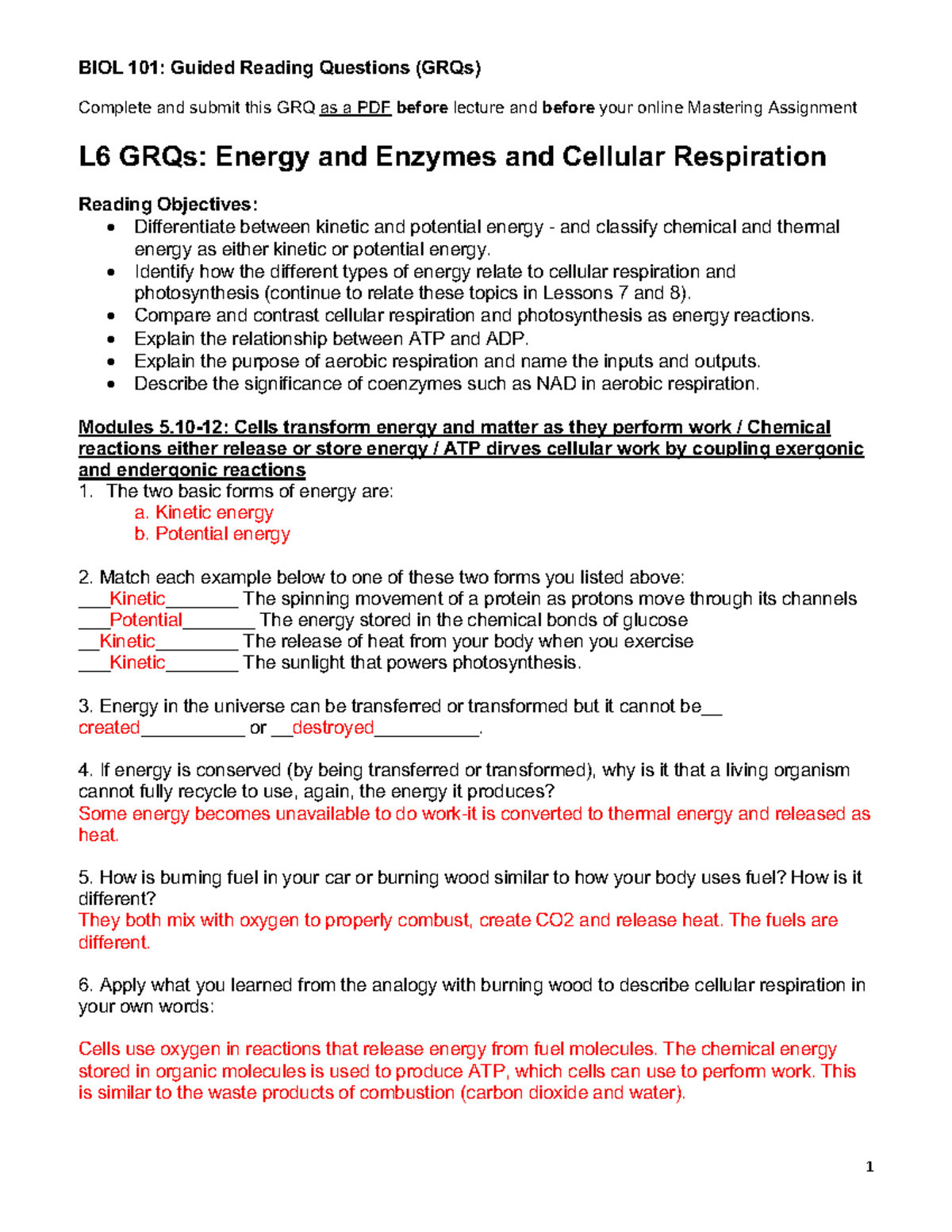 BIOL 101: Lesson 6 GRQs on Energy, Enzymes, and Cellular Respiration ...