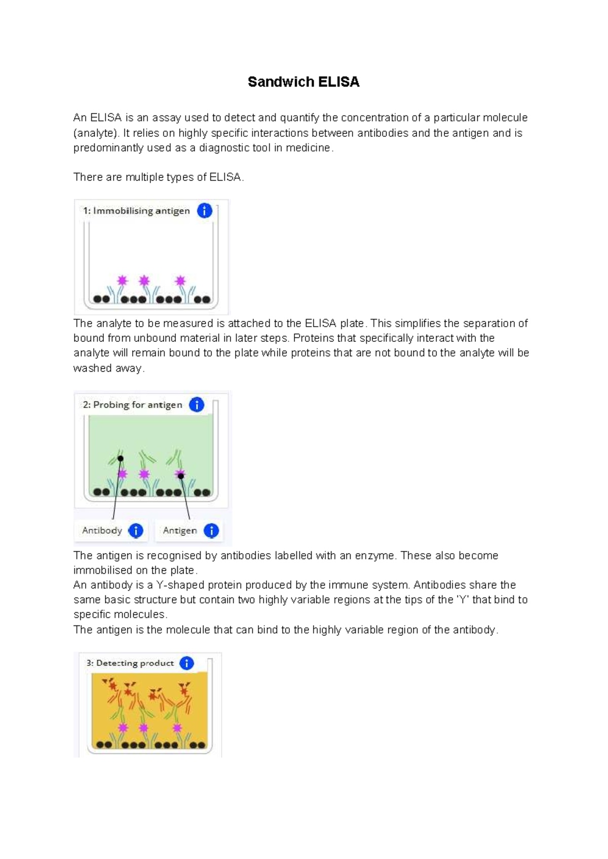 Sandwich ELISA - Comprehensive Lab Exam Notes (BIO 101) - Studocu