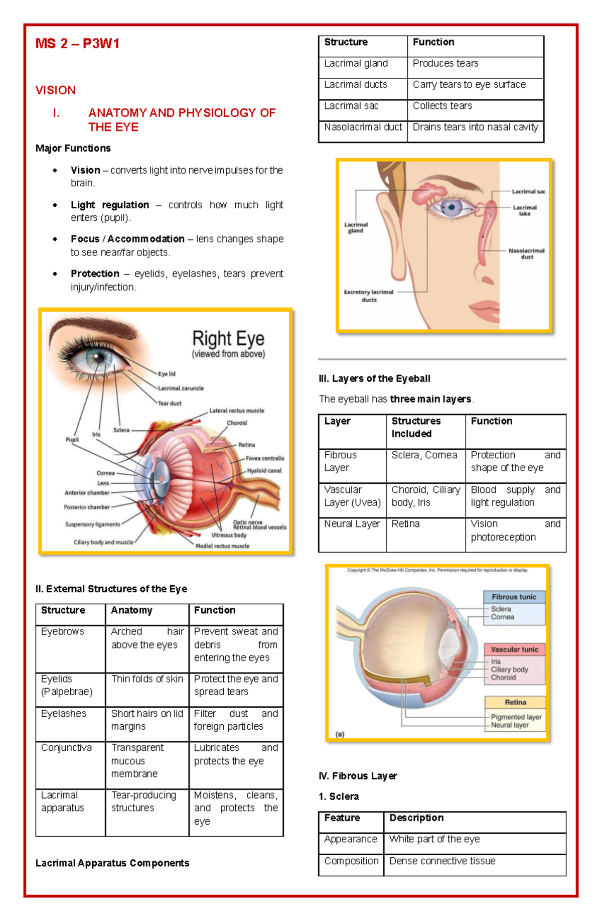 MS-P3W1 - Anatomy and Physiology of the Eye: Structure and Function ...