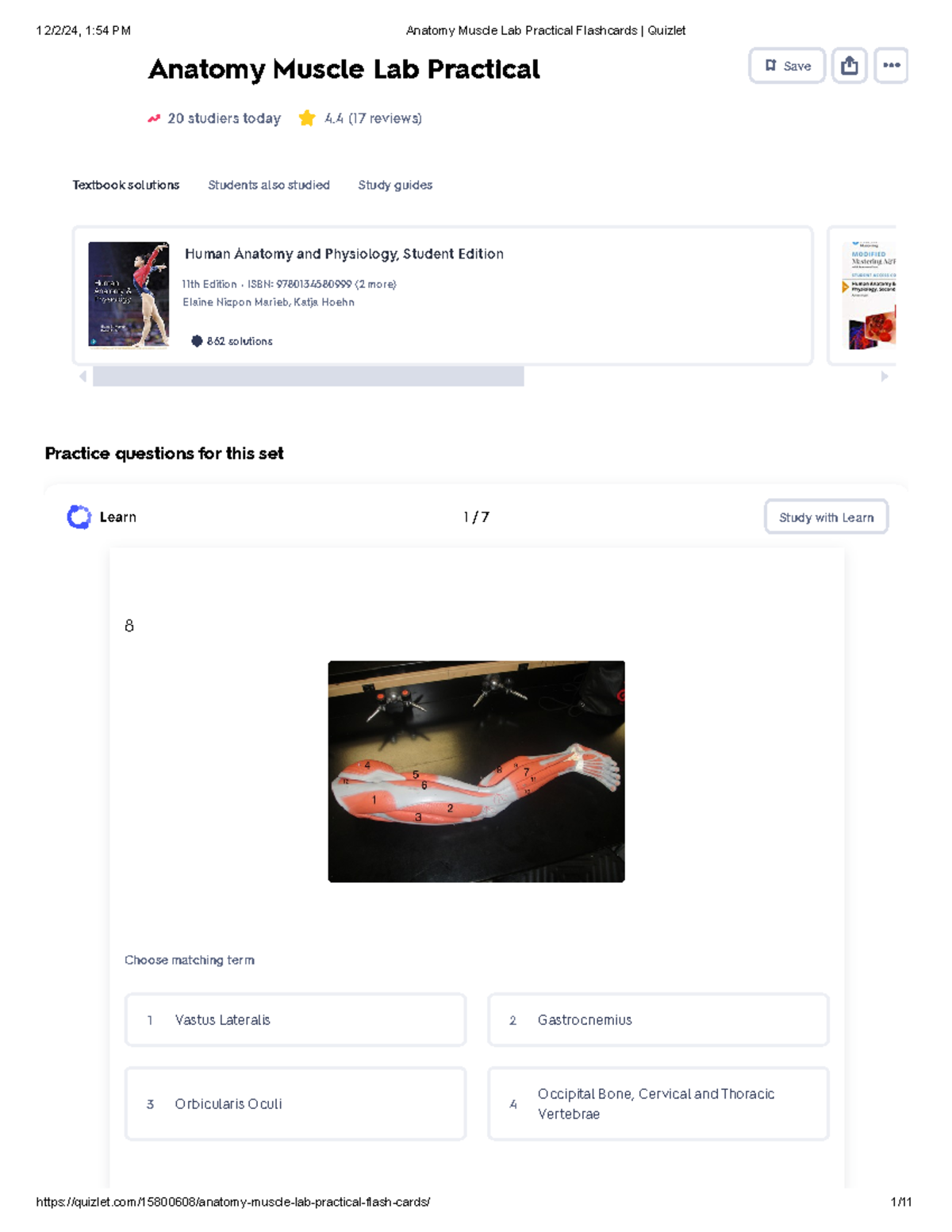 Anatomy Muscle Lab Practical Flashcards Study Guide - Studocu