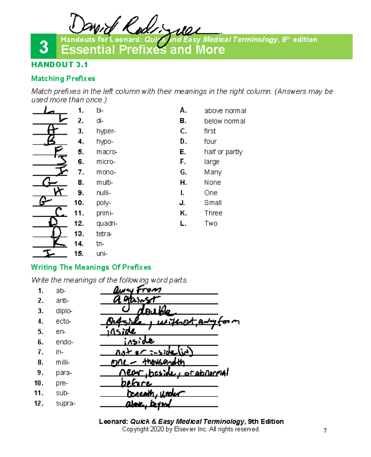 Chapter 003 - Medical Terminology Prefixes and Suffixes Handout - Studocu
