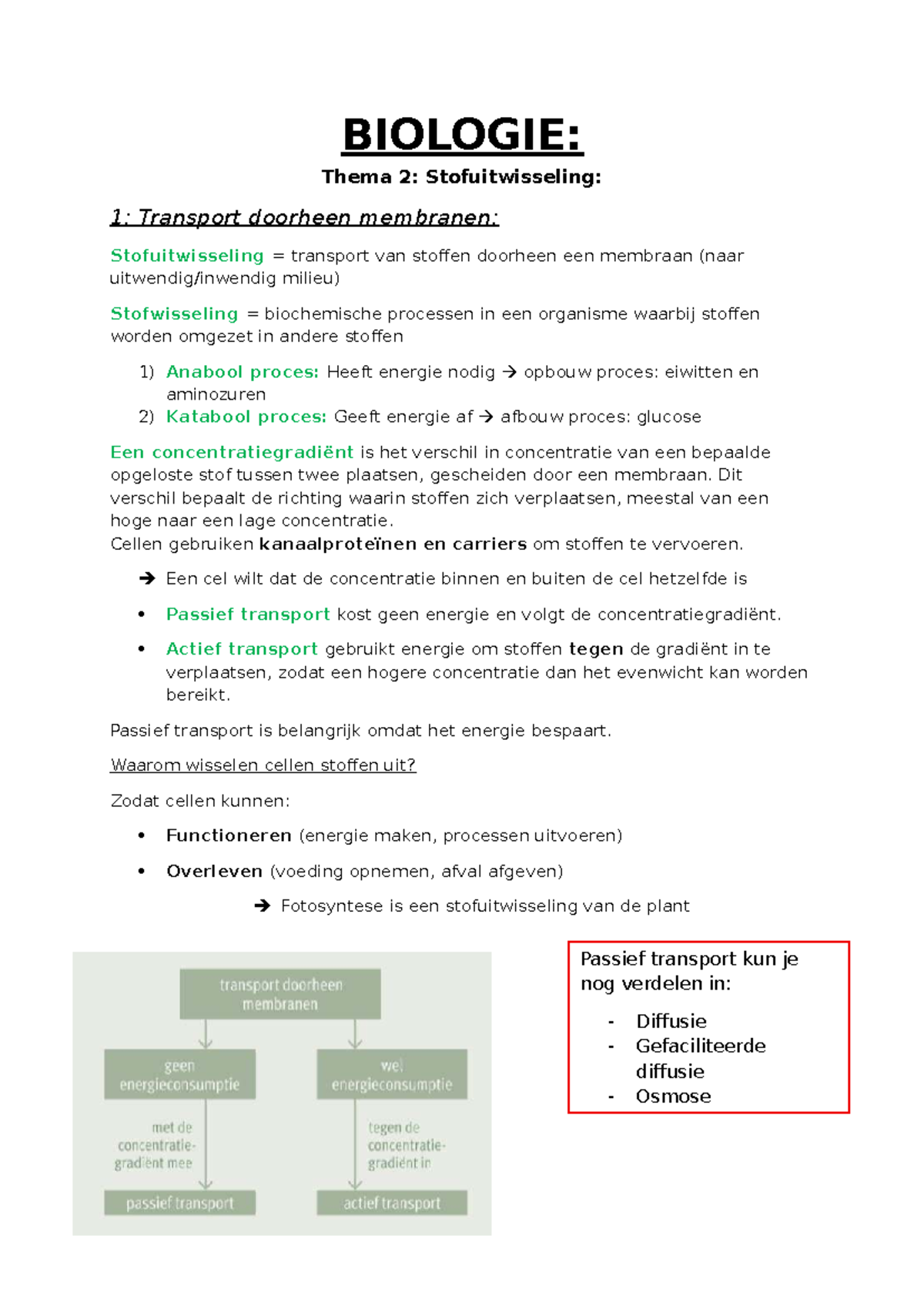 Biologie 2025: Thema 2 Samenvatting - Stofuitwisseling en Transport ...