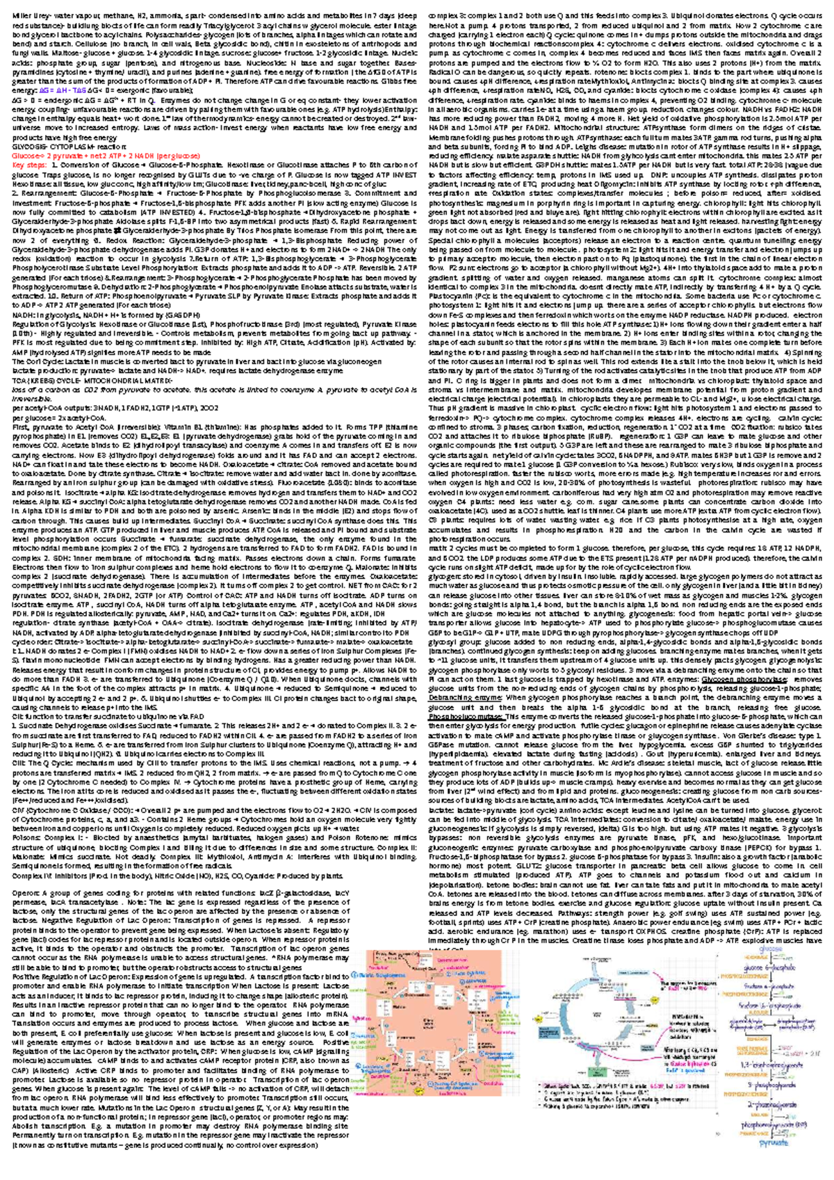 Biosci 101: Comprehensive Cheat Sheet on Metabolism and Biochemical ...
