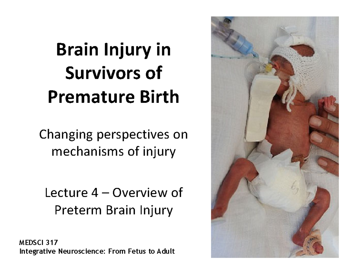 MEDSCI 317 Lecture 4: Overview of Preterm Brain Injury and Mechanisms ...