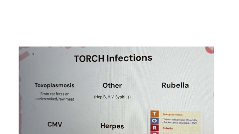 TORCH Infections Overview: Toxoplasmosis, Rubella, and More - Studocu