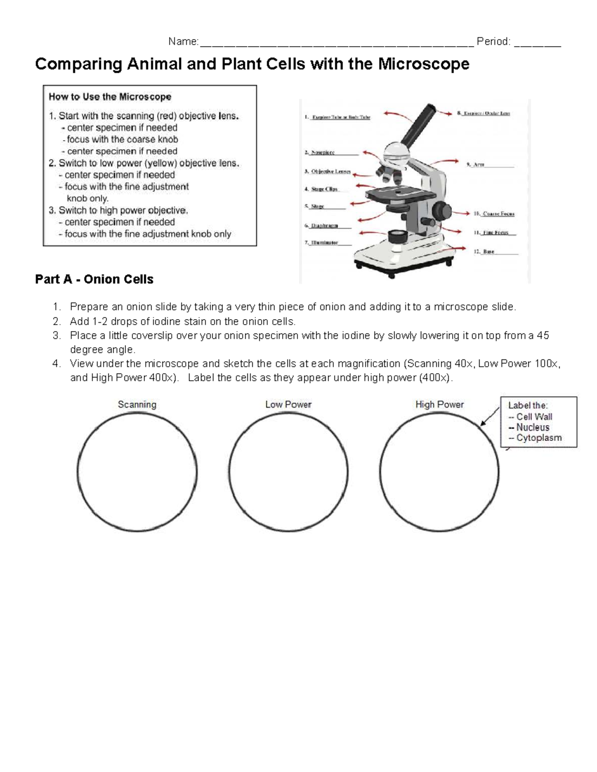 Investigation: Comparing Plant and Animal Cells with Microscope - Studocu