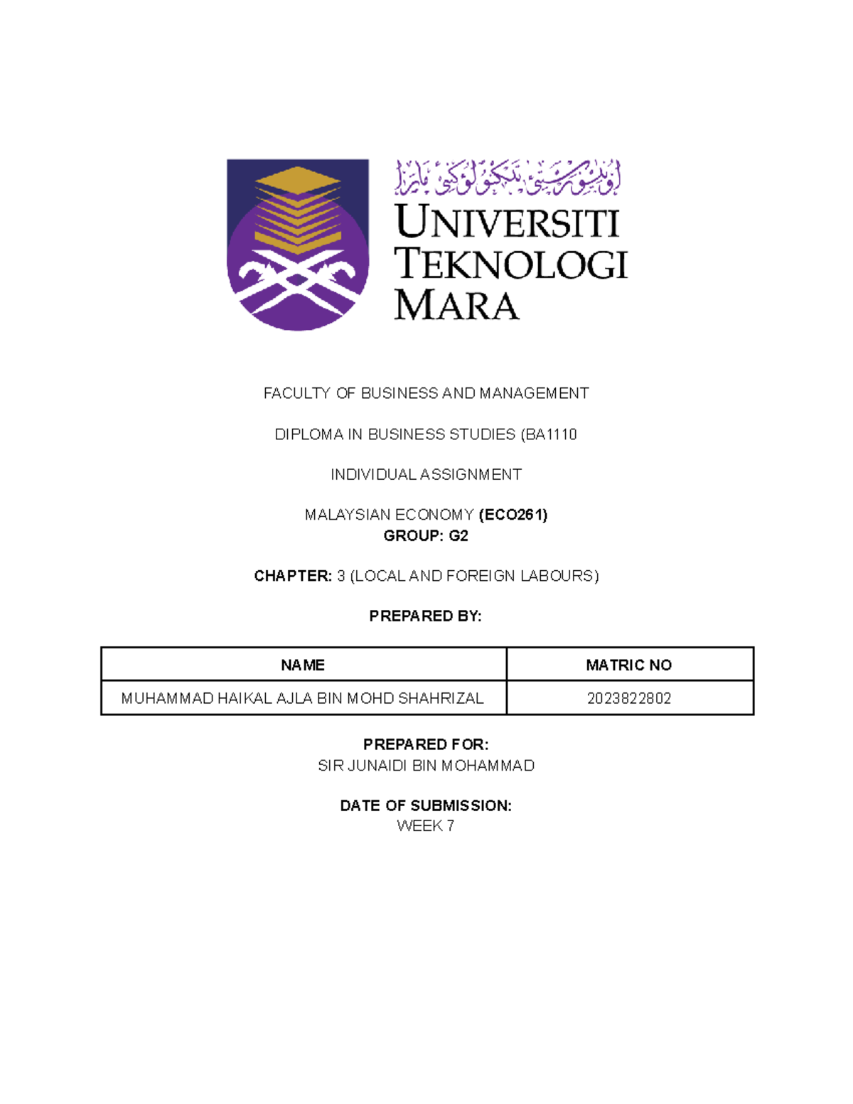 ECO261 Individual Assignment: Local vs Foreign Labour in Malaysia - Studocu