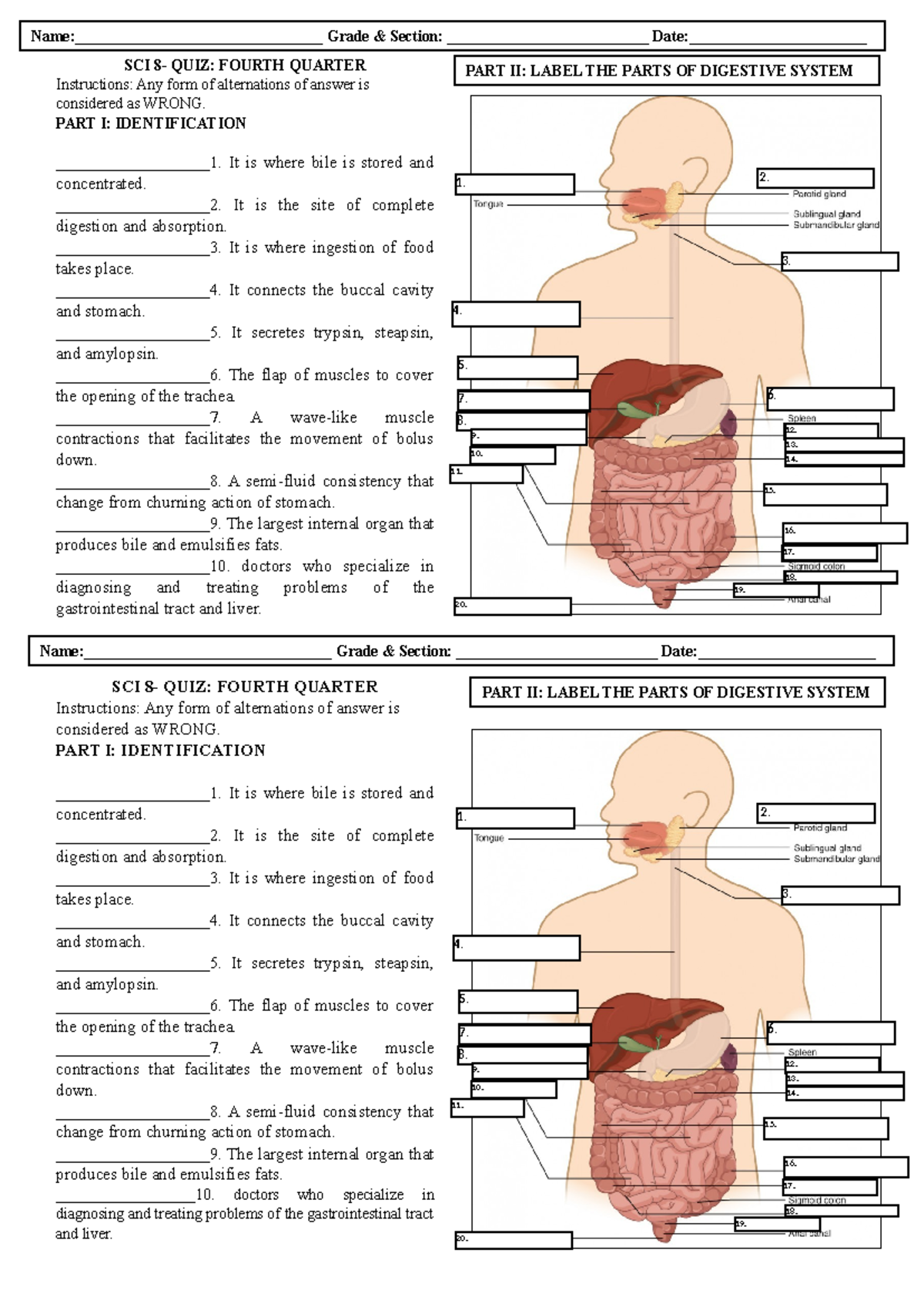 SCI 8 - Digestive System Quiz: Fourth Quarter Assessment - Studocu