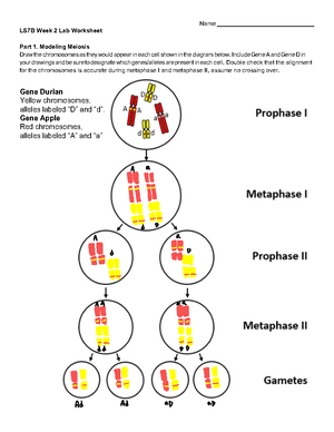 LS7B Week 7 Pre-Class Reading Guide - LS7B Week 7 Pre-Class Worksheet ...