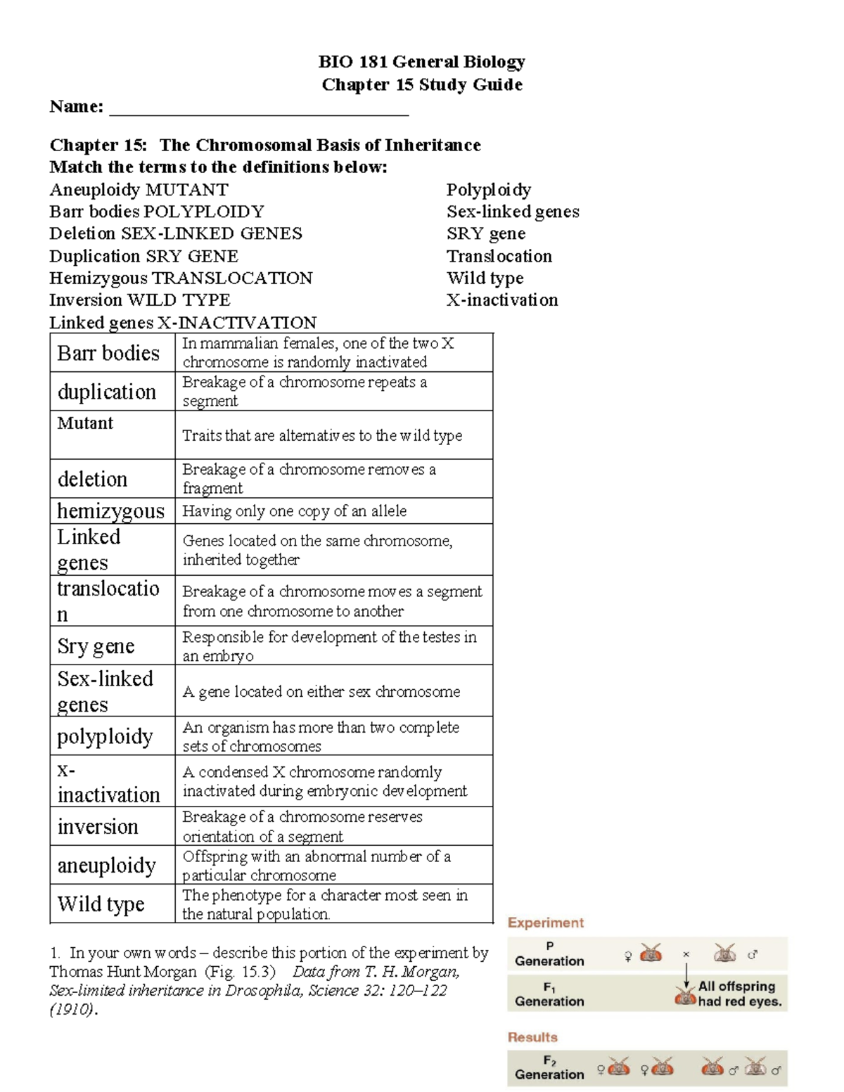 Chapter 15 Study Guide: Chromosomal Basis of Inheritance (BIO 181 ...