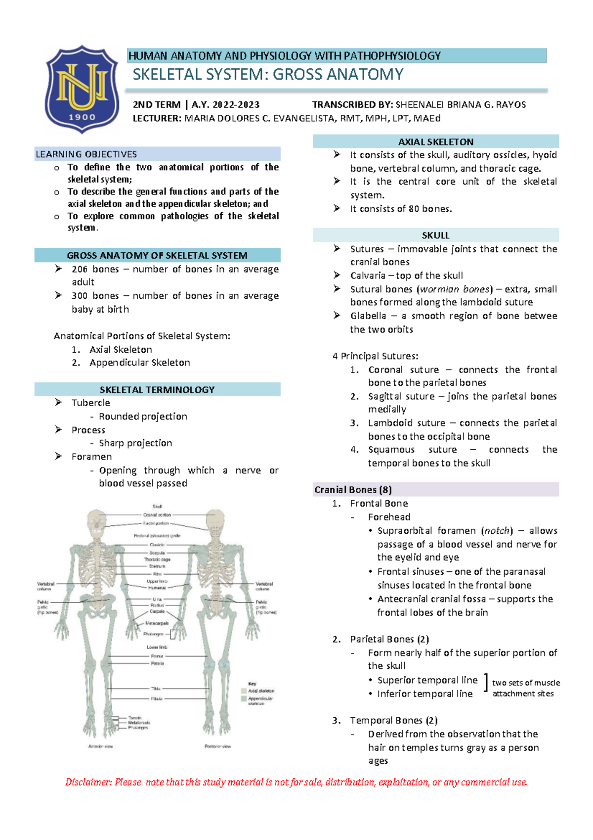 HUMAN ANATOMY & PHYSIOLOGY: SKELETAL SYSTEM GROSS ANATOMY 2ND TERM ...