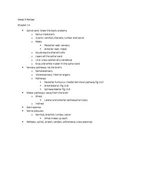 Anatomy & Physiology Chapter 18 - The Blood Flashcards Quizlet - Anatomy & Physiology Chapter 18 ...