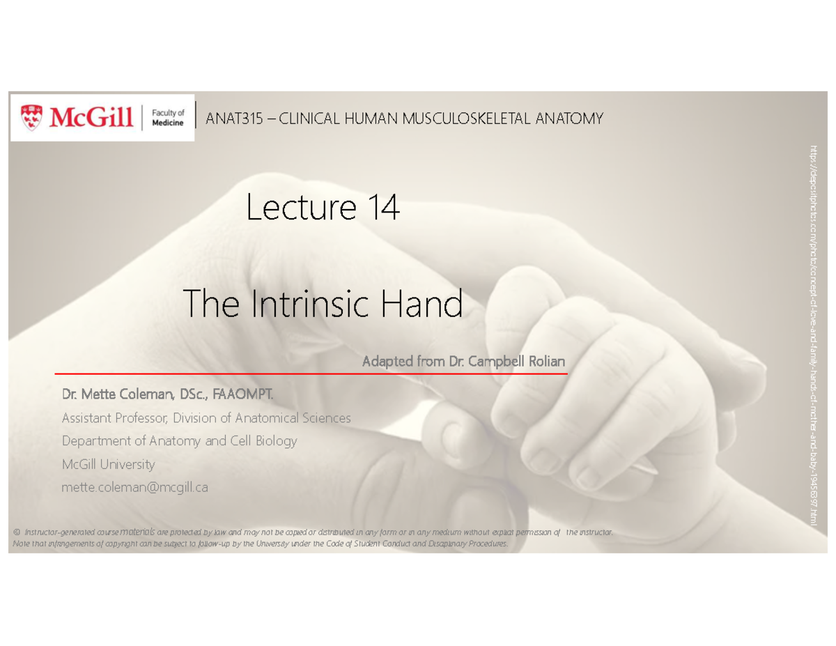 ANAT315 Lecture 14: Intrinsic Hand Anatomy Overview F2025 - Studocu