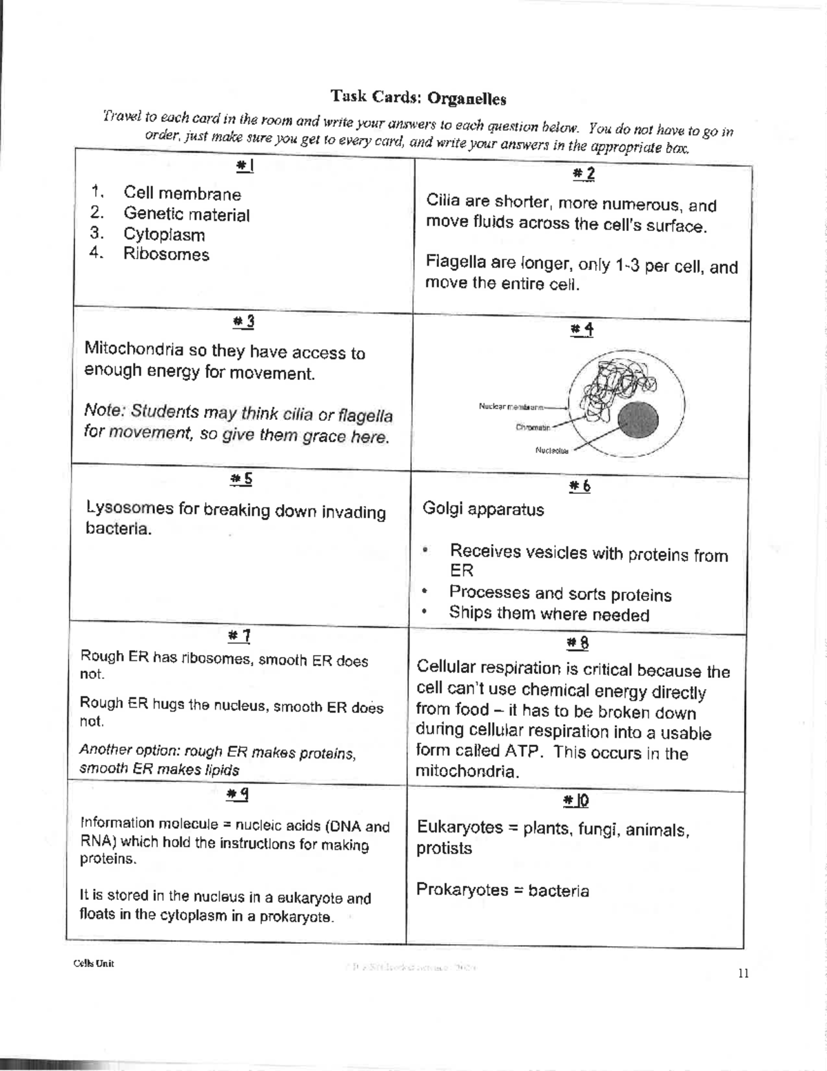 Cells Unit Task Cards Answer Key: Organelles and Their Functions - Studocu