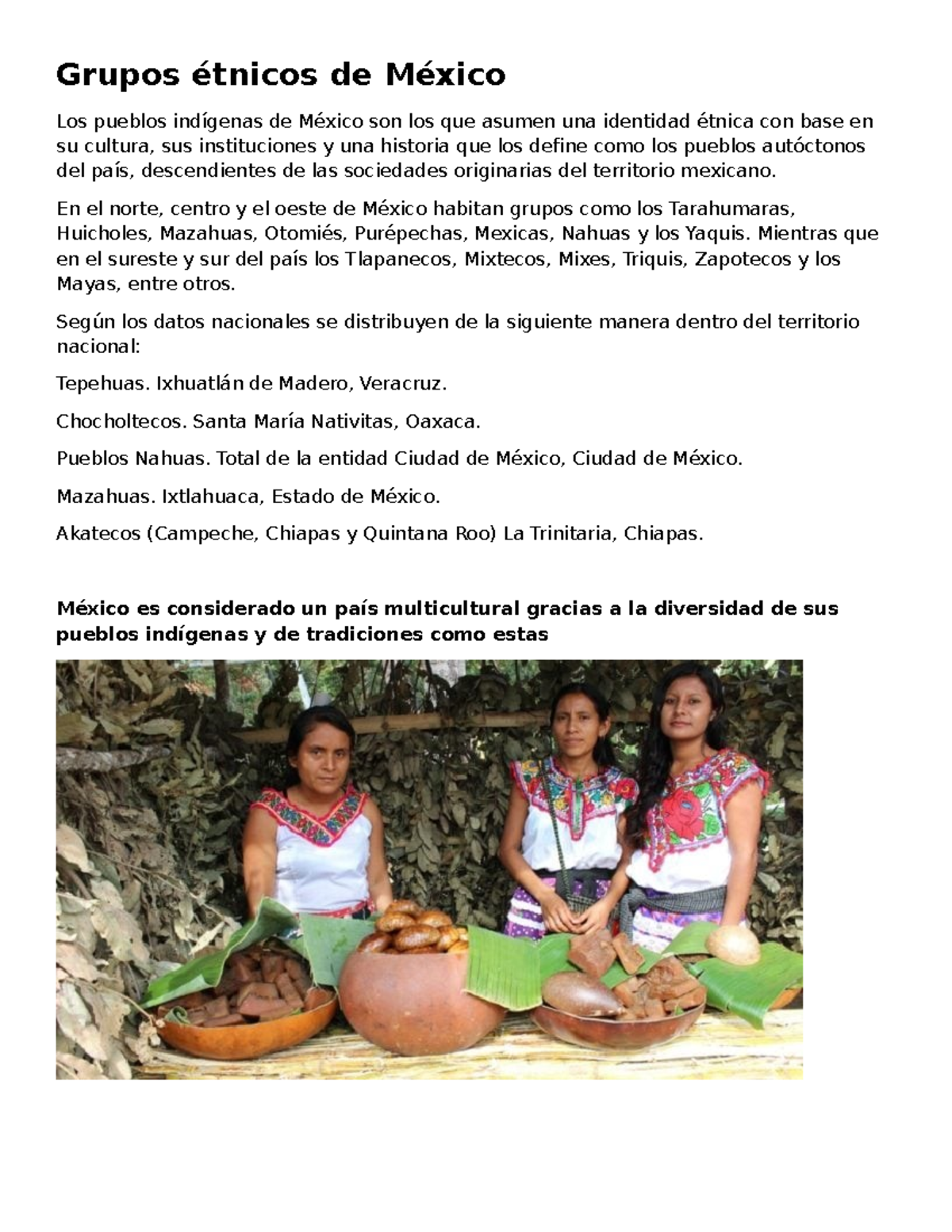 Grupos Étnicos y Tradiciones de México: Diversidad Cultural Indígena ...