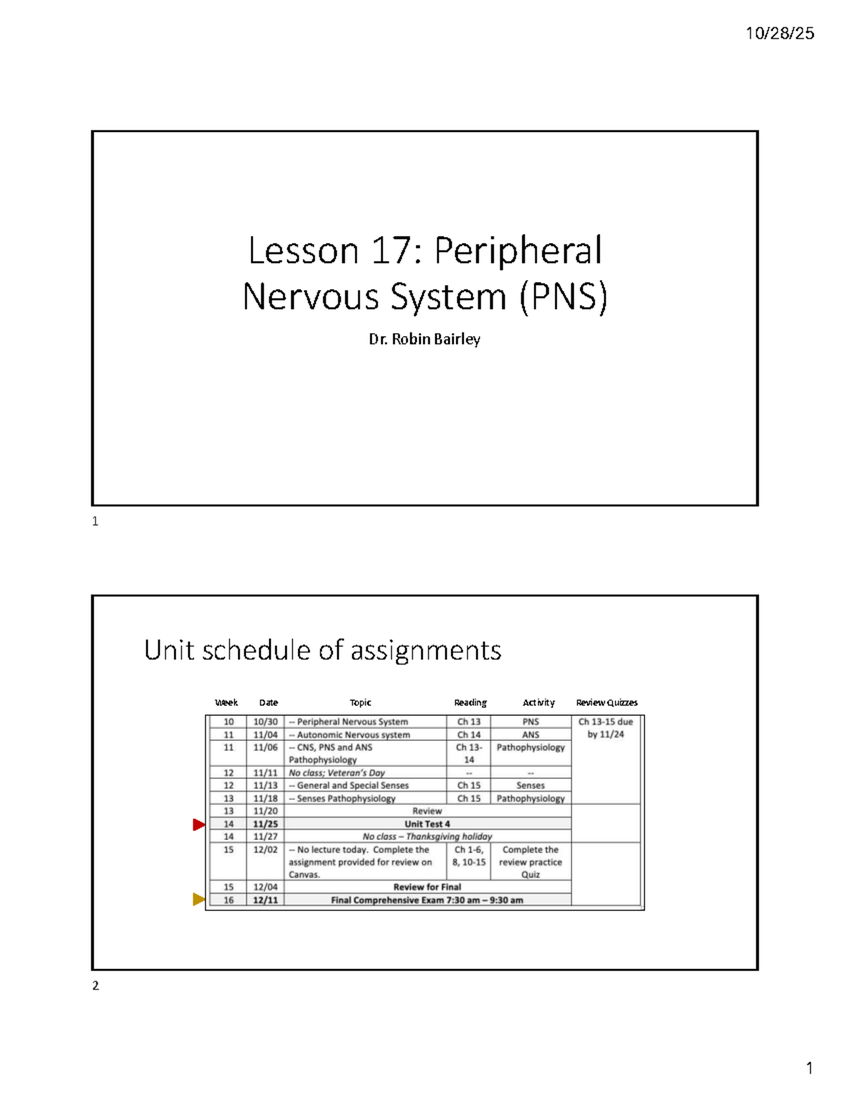 Lesson 17: Peripheral Nervous System (PNS) Overview and Key Concepts ...