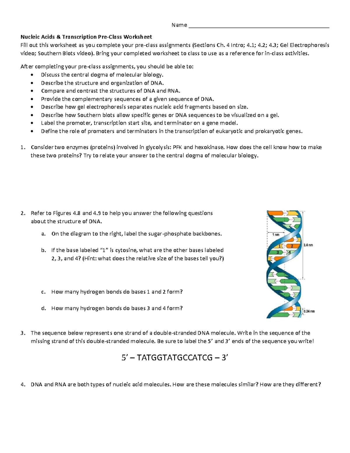 Week 4b Pre-Class Reading Guide: Nucleic Acids & Transcription ...