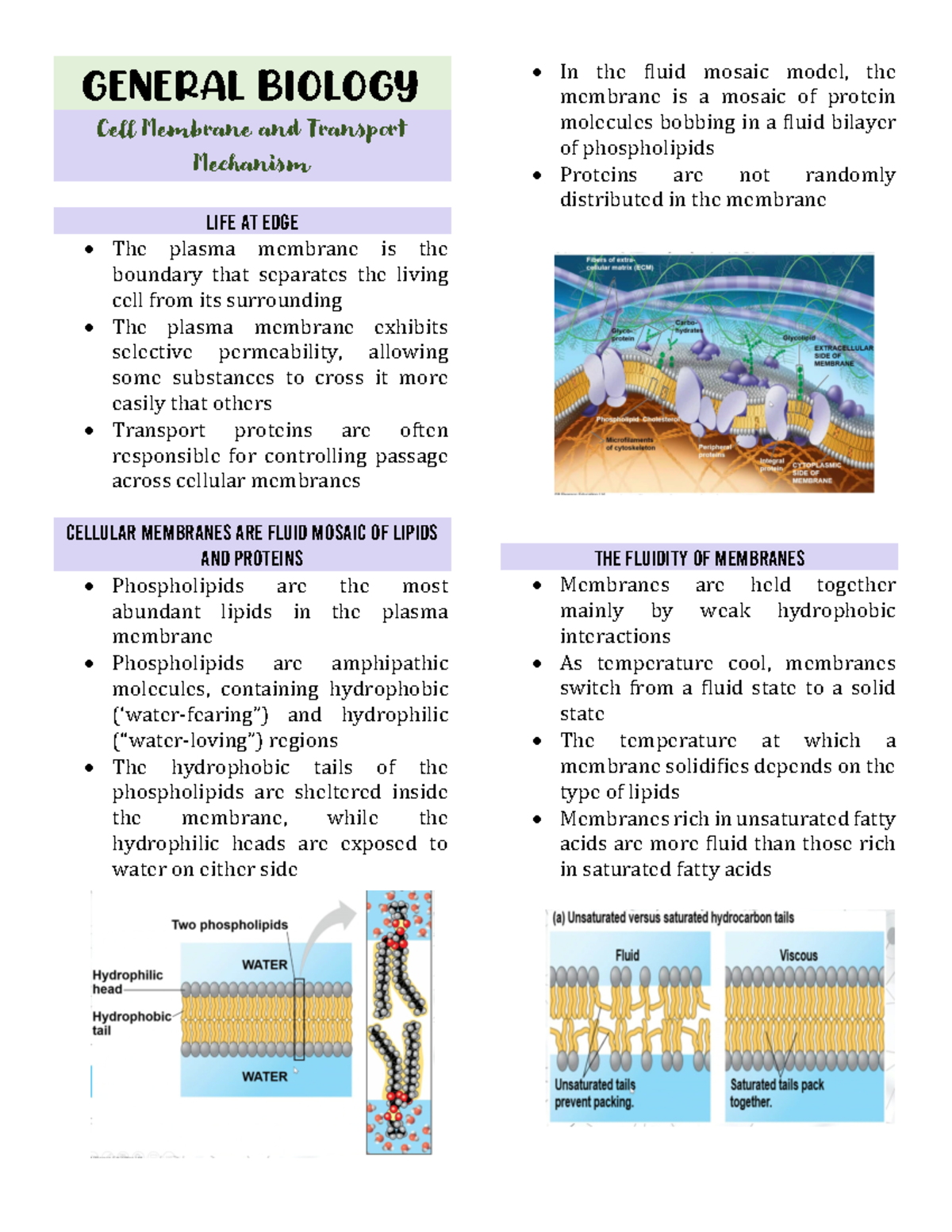CELL Membrane AND Transport Mechanism - GENERAL BIOLOGY Cell Membrane ...