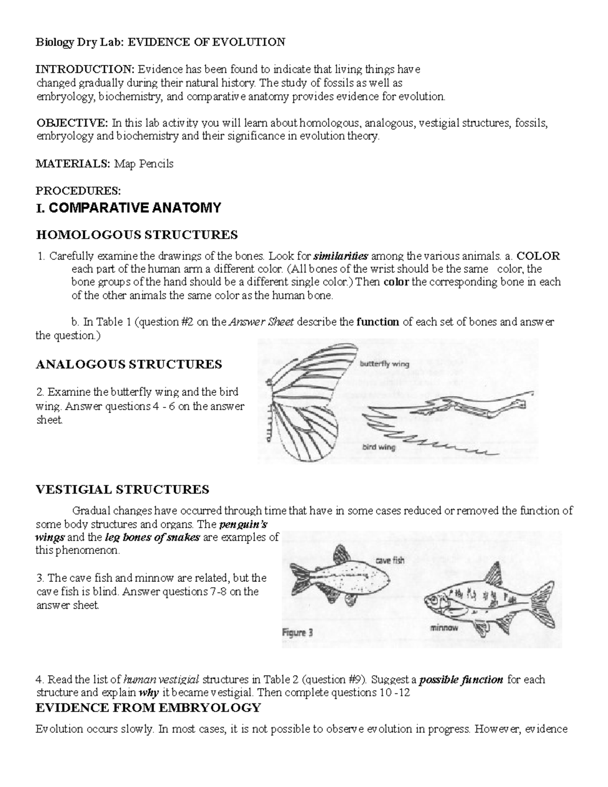 BIO 101 Lab: Evidence of Evolution through Anatomy, Embryology ...