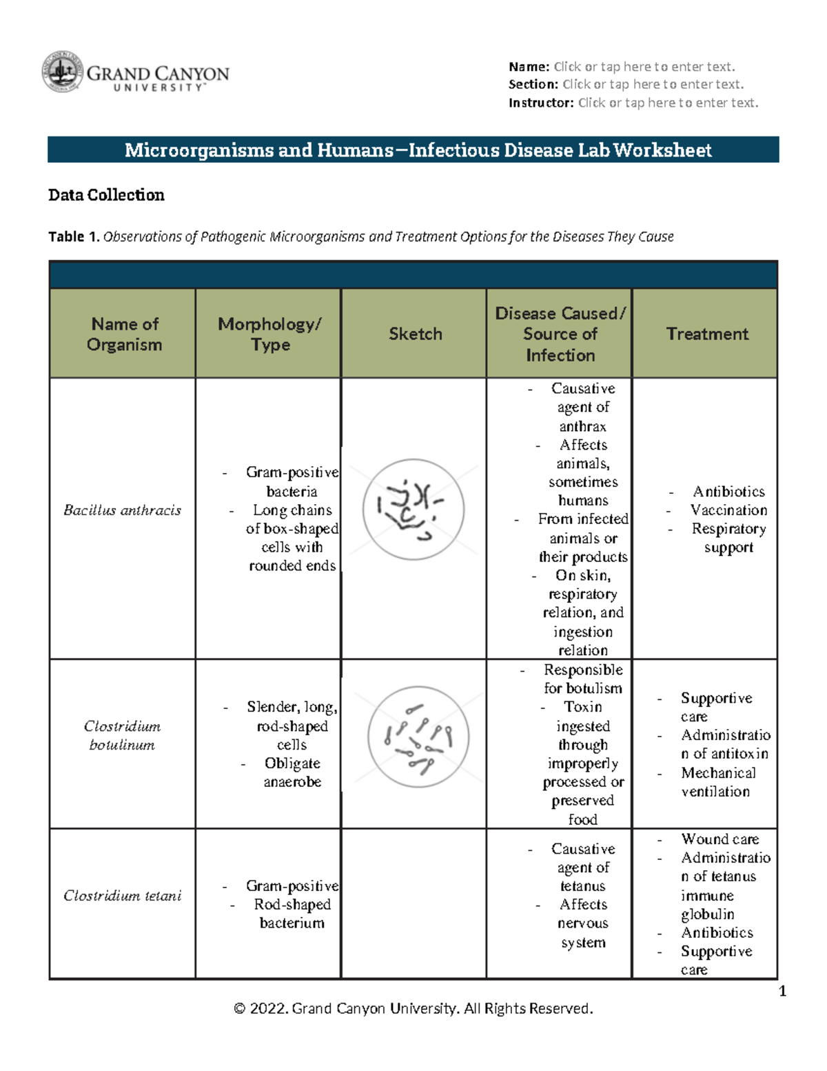 Microbiol 101: Infectious Disease Lab Worksheet and Data Collection ...