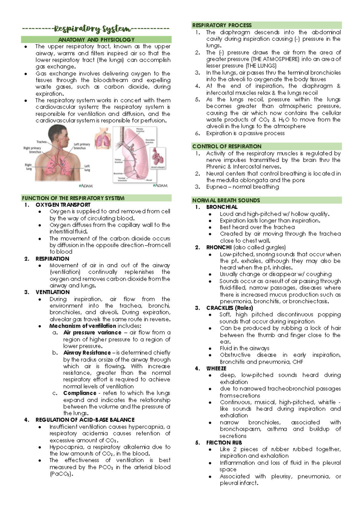 MS Respi -Respiratory System- ANATOMY AND PHYSIOLOGY The upper ...