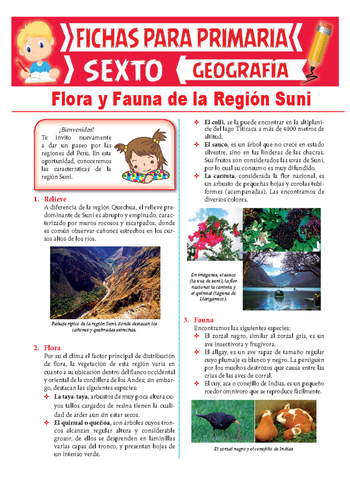 Flora y Fauna de la Región Suni para Sexto Grado de Primaria - 1 ...