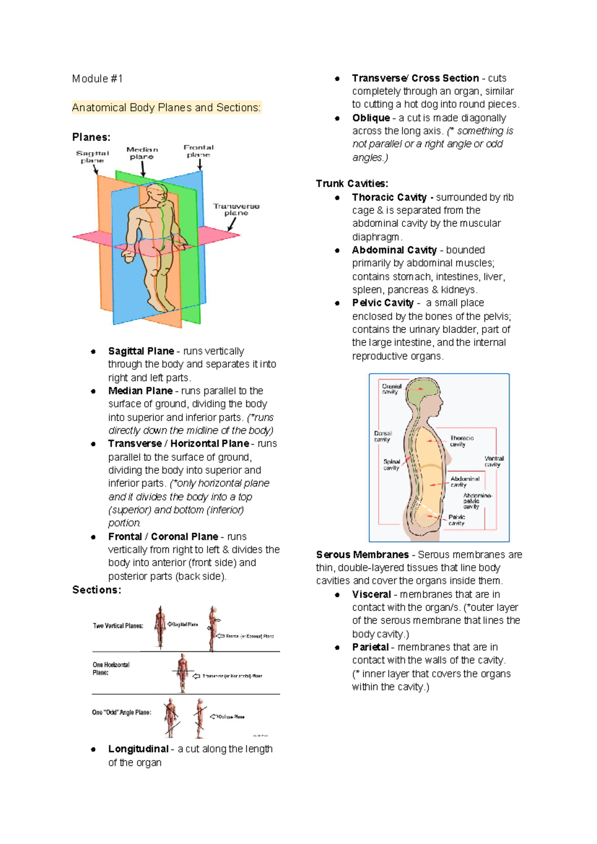 Notes - anaphy nursing first week - Module Anatomical Body Planes and ...
